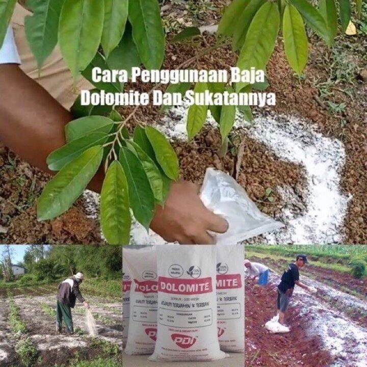BIGSALES 🏭Direct Kilang🏭 Baja Dolomite GML/ Kapur Pertanian / Baja ...