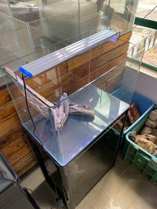 50cm Curve Tank SET ( Includes Cabinet ) | Lazada PH