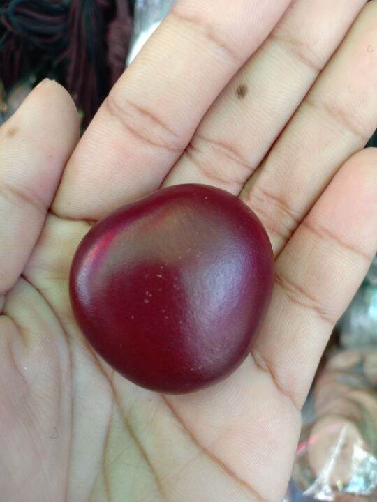 bayugo/kagamitan sa paggagamot | Lazada PH