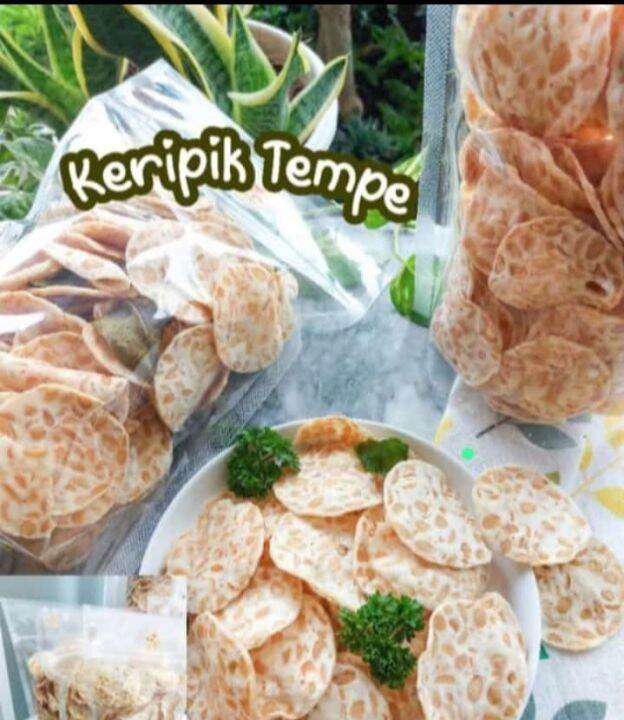 Keripik Tempe Sagu "Original" (cocok buat lauk dan cemilan) | Lazada ...