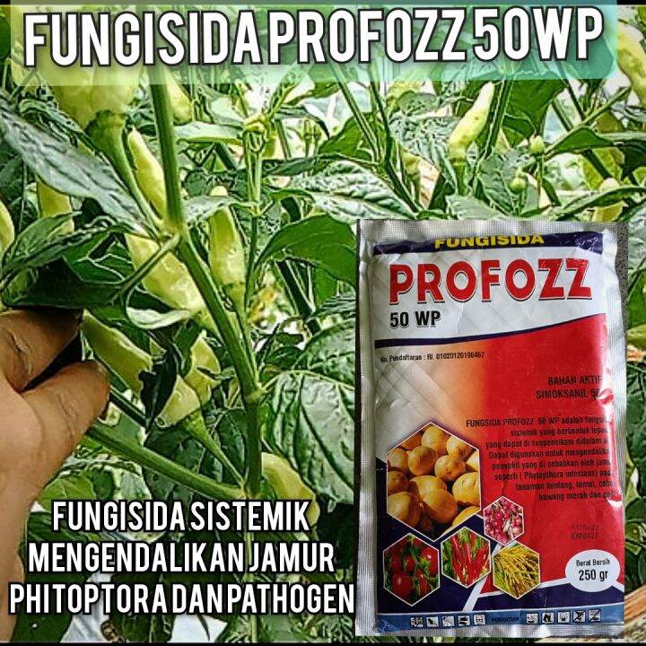 Fungisida profozz 250gr, fungisida sistemik yg berbahan aktif ...