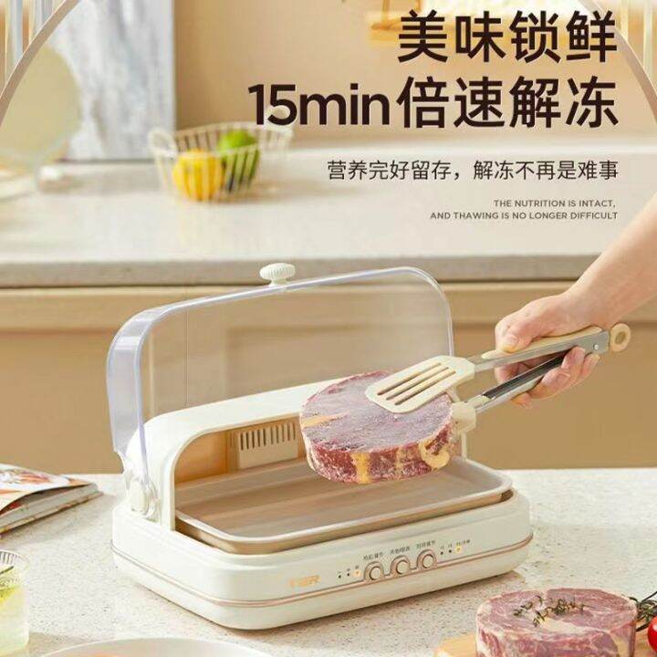 TER constant temperature thawing artifact thawing meat steak thawing ...