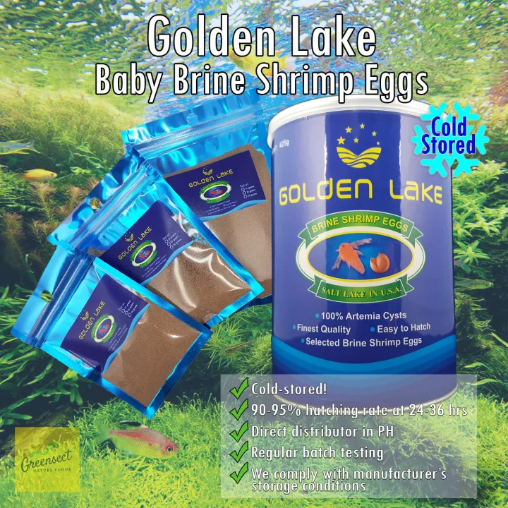 GOLDEN LAKE (DIRECT DISTRIBUTOR) BBS Eggs Baby Brine Shrimp Hatchable ...
