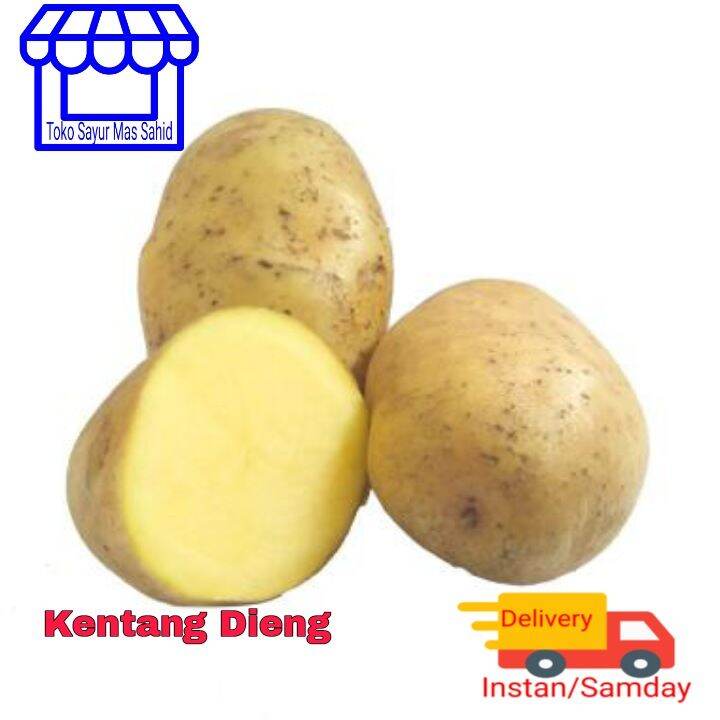 Kentang Asli Dieng Murah Kentang Segar 1 kg | Lazada Indonesia