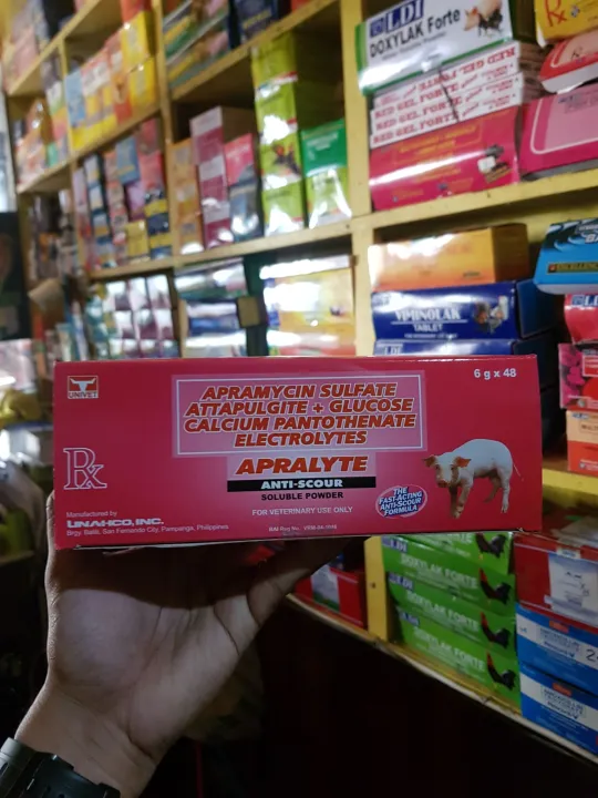 apralyte 6g 48 pcs | Lazada PH