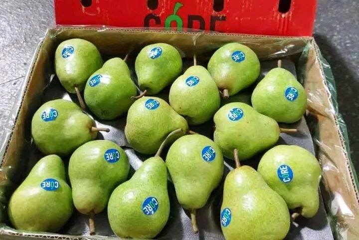 PEAR PAKAM PIR JAMBU IMPORT SEGAR 1 KG | Lazada Indonesia
