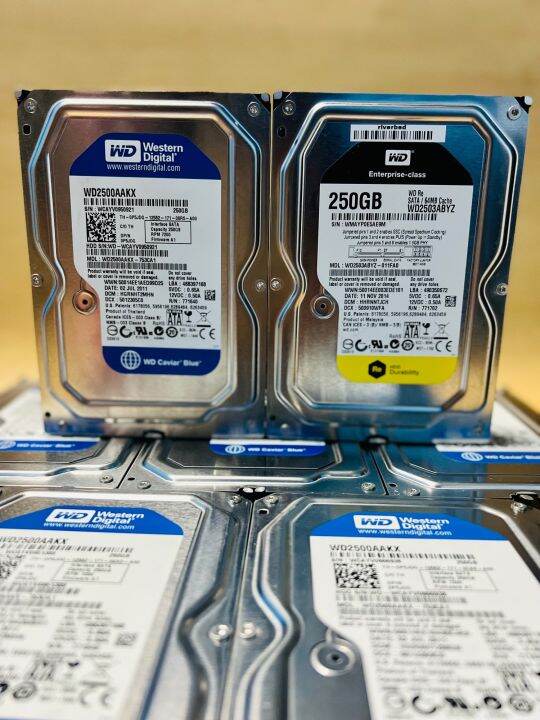 HDD 250 GB ฮาร์ดดิสก์250GB มือสองราคาถูกสภาพดีใช้งานได้ปกติ | Lazada.co.th