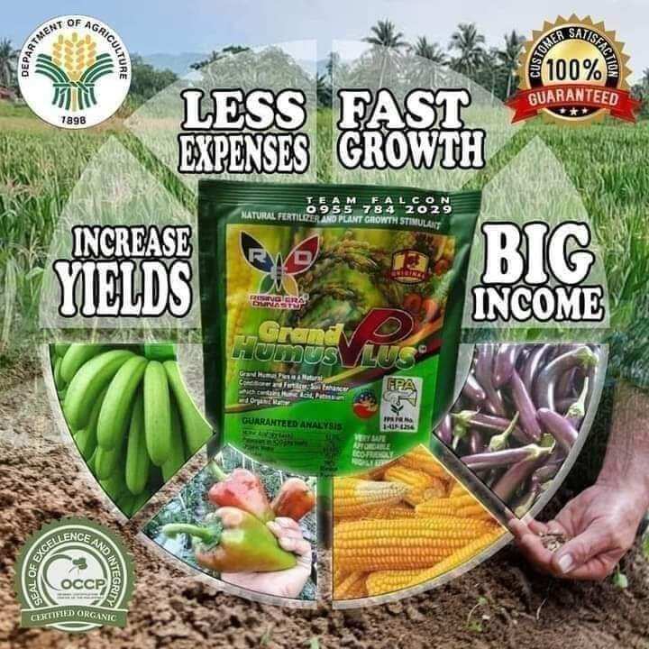 Grand Humus Plus | Lazada PH