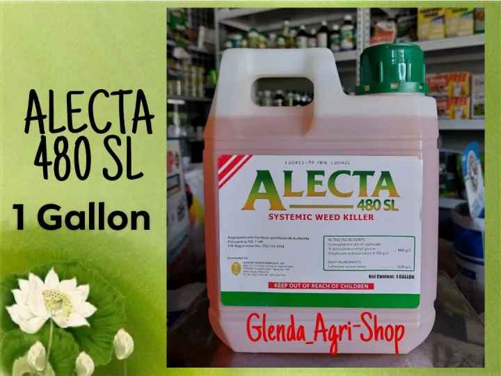 ALECTA GLYPHOSATE Herbicide 480 SL (1 gallon) | Lazada PH