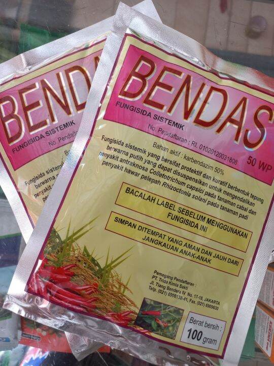 Bendas 50WP 100 Gr Fungisida Sistemik | Lazada Indonesia