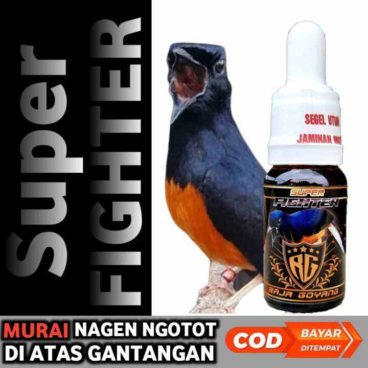 VITAMIN BURUNG MURAI BATU SUPER FIGHTER DOPING MURAI BATU GACOR RAJA ...