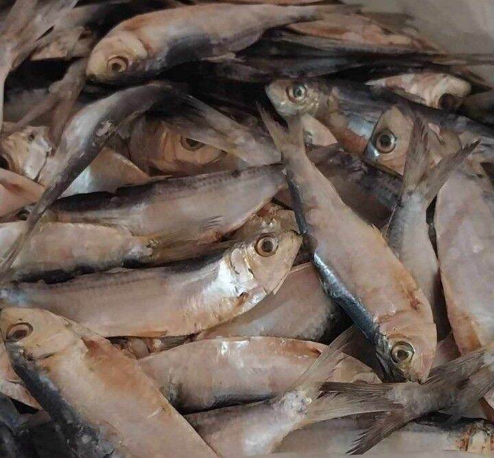 Dried fish Salinas whole sale | Lazada PH