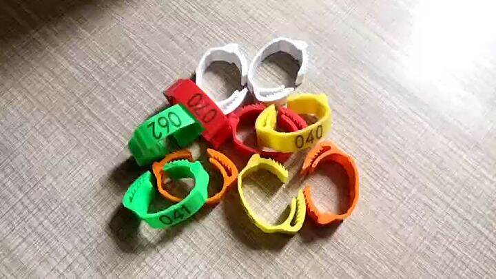 50Pcs Adjustable chicken leg ring Chicken foot ring Poultry feet tag ...