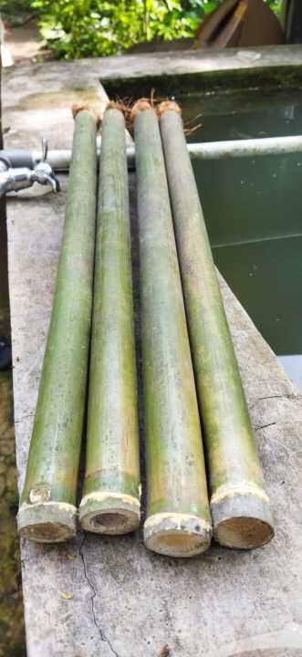 jual obor bambu panjang 50 cm+sumbu | Lazada Indonesia