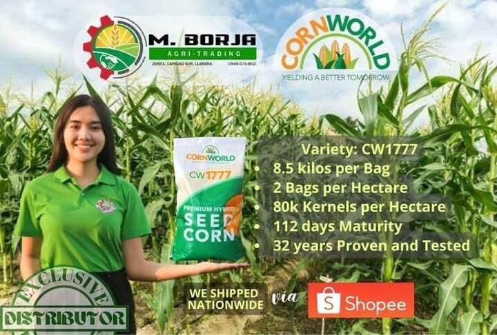 Cornworld CW1777 Seed Corn 8.5 kilos | Lazada PH