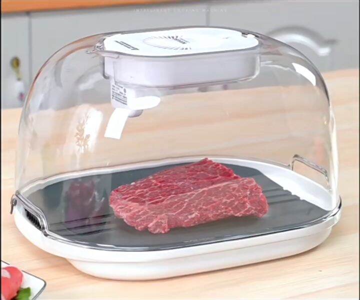 HA-Life Kitchen Household Food Preservation Freezer Thaw Plate ...