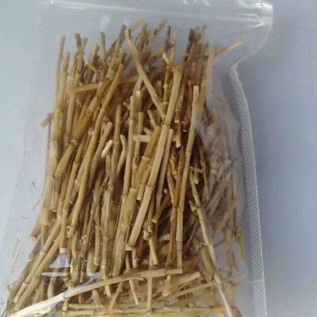akar alang alang kering original 250gram | Lazada Indonesia