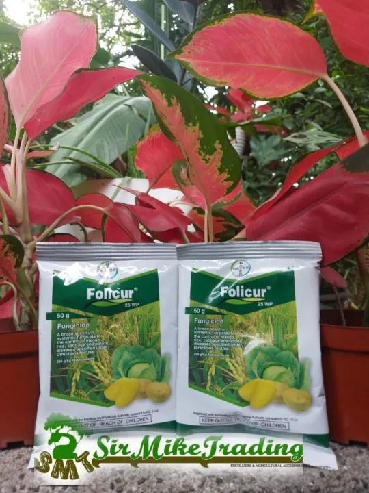 Folicur 25 WP 50 grams Fungicide | Lazada PH