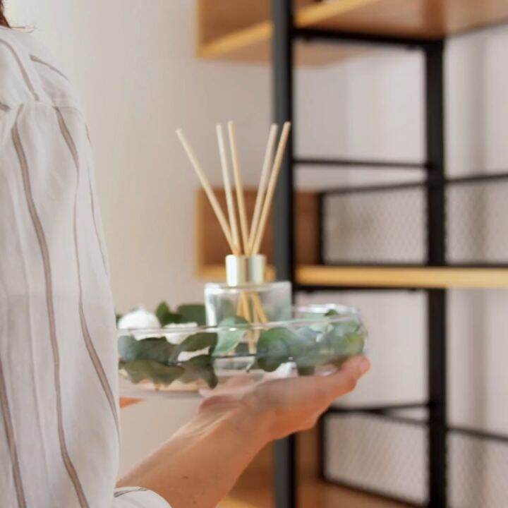 Reed diffuser | Balsam fir ก้านไม้หอม | กลิ่นไม้สน | Lazada.co.th