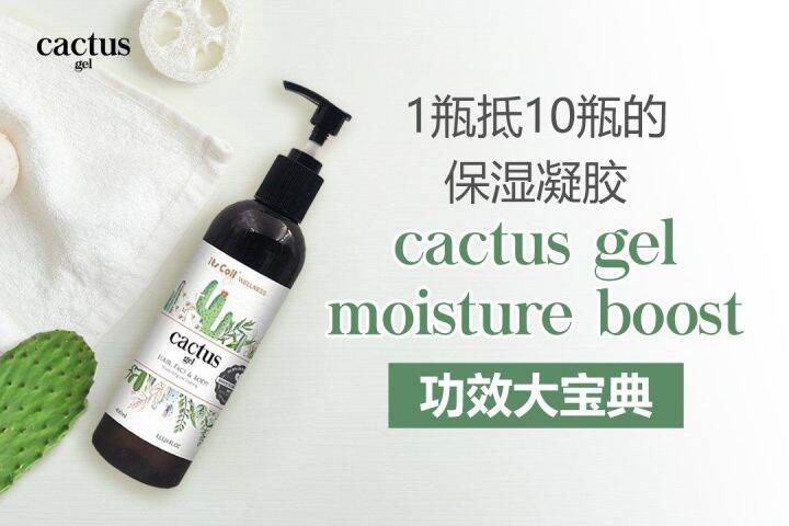 CACTUS GEL | Lazada