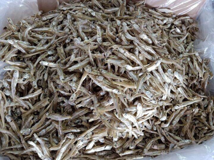 (PREMIUM) Ikan Bilis Rapuh Tg. Dawai (500g)(Xkopek) | Lazada