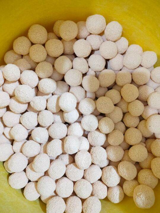 Porous Balls 1kg Aquarium Filter Media | Lazada PH