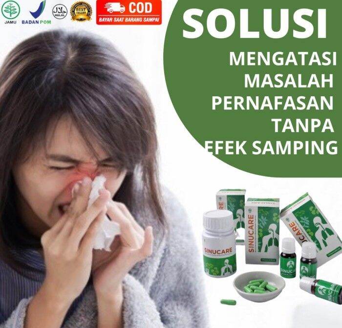 SINUCARE - OBAT HERBAL SINUS BRONKITIS ASMA DAN GANGGUAN PERNAPASAN ...