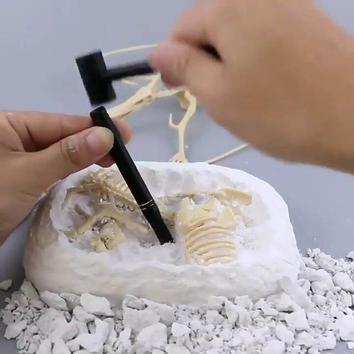 PACO TOYS Tyrannosaurus rex dig kit | Lazada PH