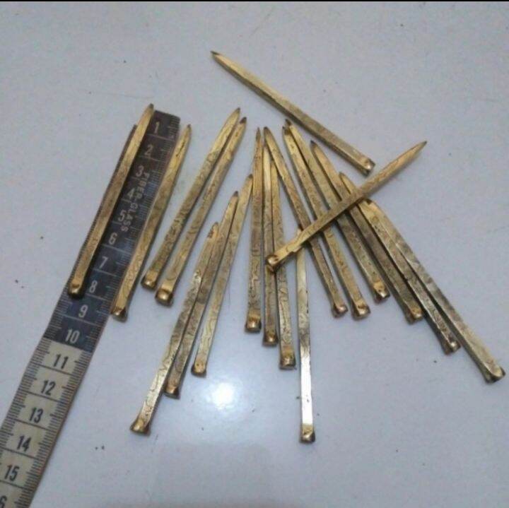 paku bumi Kuningan rajah 7-8 cm satuan | Lazada Indonesia