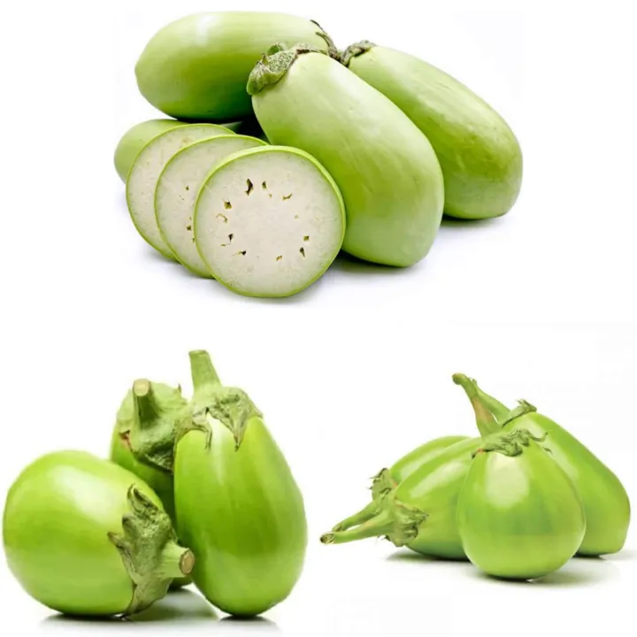 binhi pantanim talong 10 seeds oval green eggplant vegetable outdoor ...