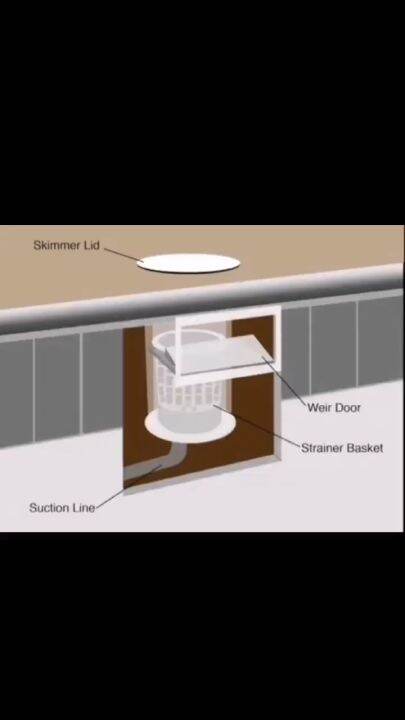swimming pool Skimmer Complete Wide Mouth Wall Skimmer (Gunite/Concrete ...