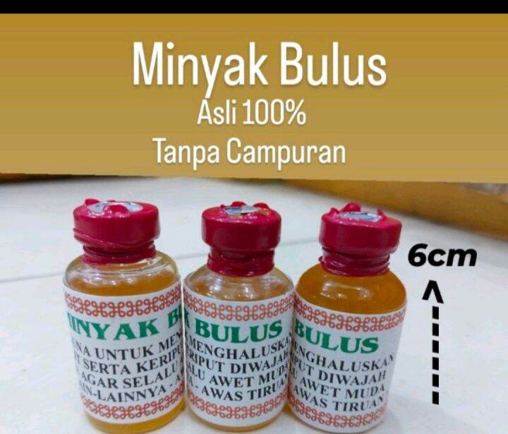 Minyak Bulus Kalimantan | Lazada Indonesia