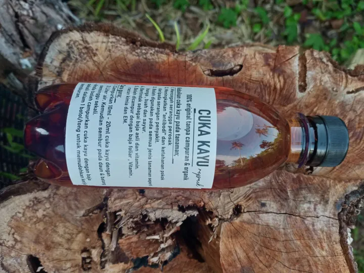 Pati Cuka Kayu original dari kayu bakau | Lazada