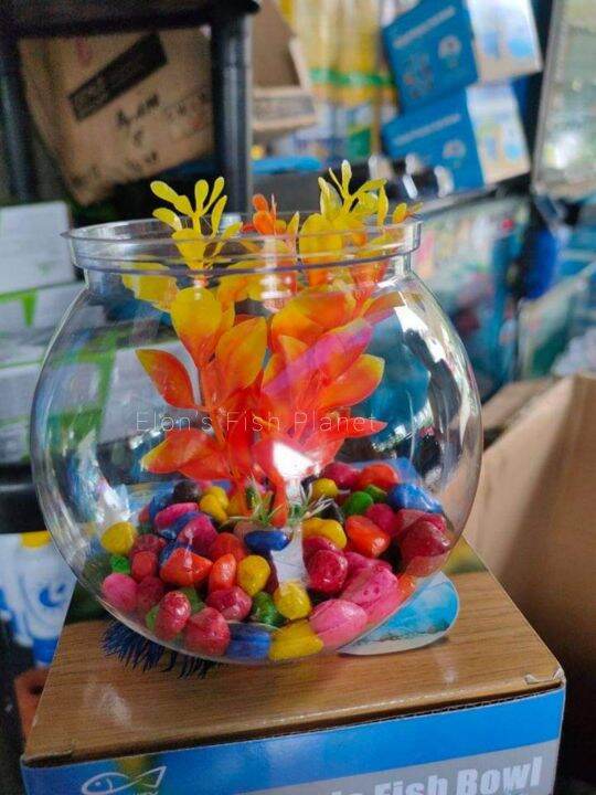 STYLISH FISHBOWL SET FOR BETTA FISH | Lazada PH