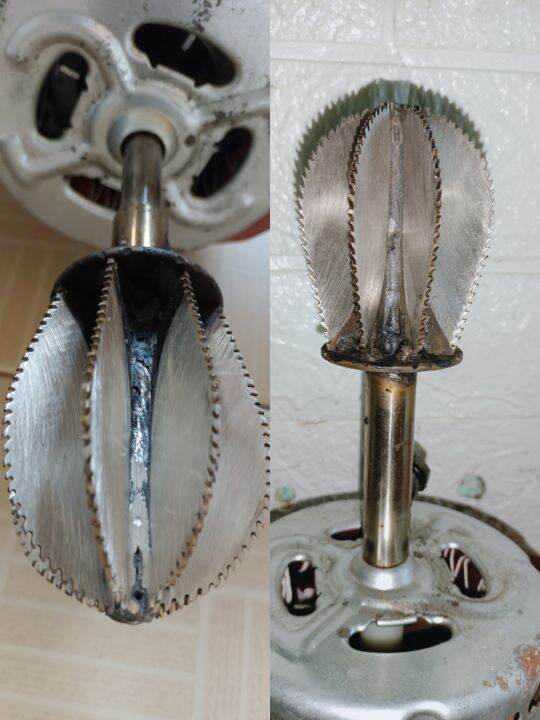 12mm Coconut Grater blade Stainless kayuran | Lazada PH