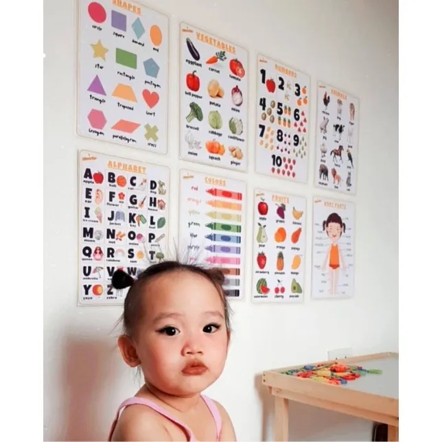 Kids Wall Charts a4 Laminated Educational | Lazada PH