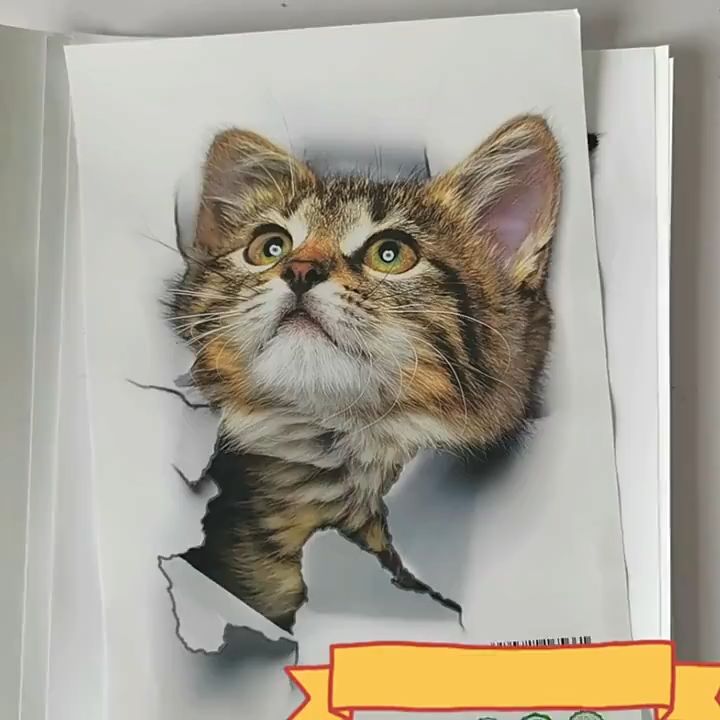 Stiker Kucing orange lucu 3d mobil eksterior PVC sticker hewan hiasan ...