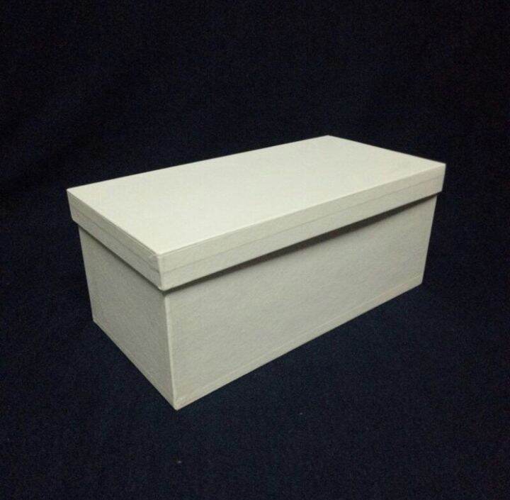 Rectangular Hard Box(13x8x5) | Lazada PH
