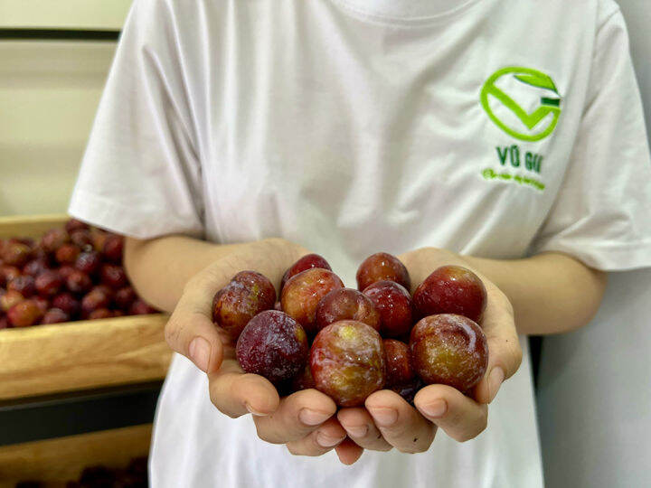 VG FARM Mận seo róc hạt - Mận cuối mùa êm tay tý tý. Chua chua ngọt ...