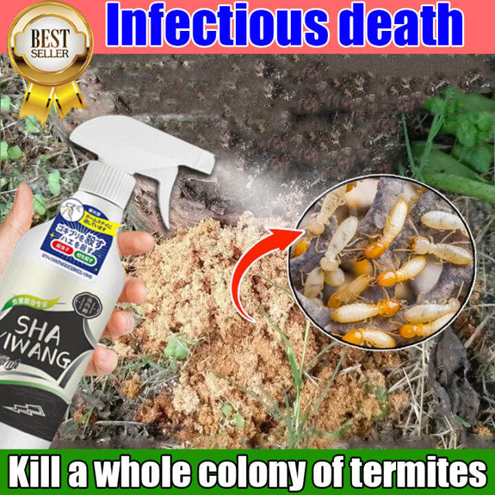 kills all termites！GO Termites killer spray Anay killer spray odorless ...
