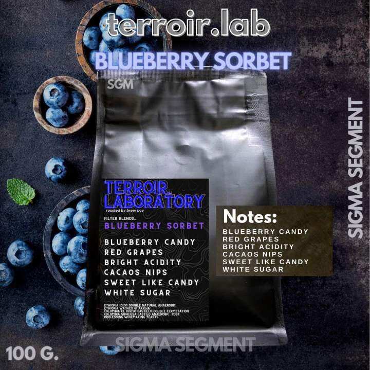 เมล็ดกาแฟ BLUEBERRY SORBET (100g.) — TERROIR LABORATORY | Lazada.co.th