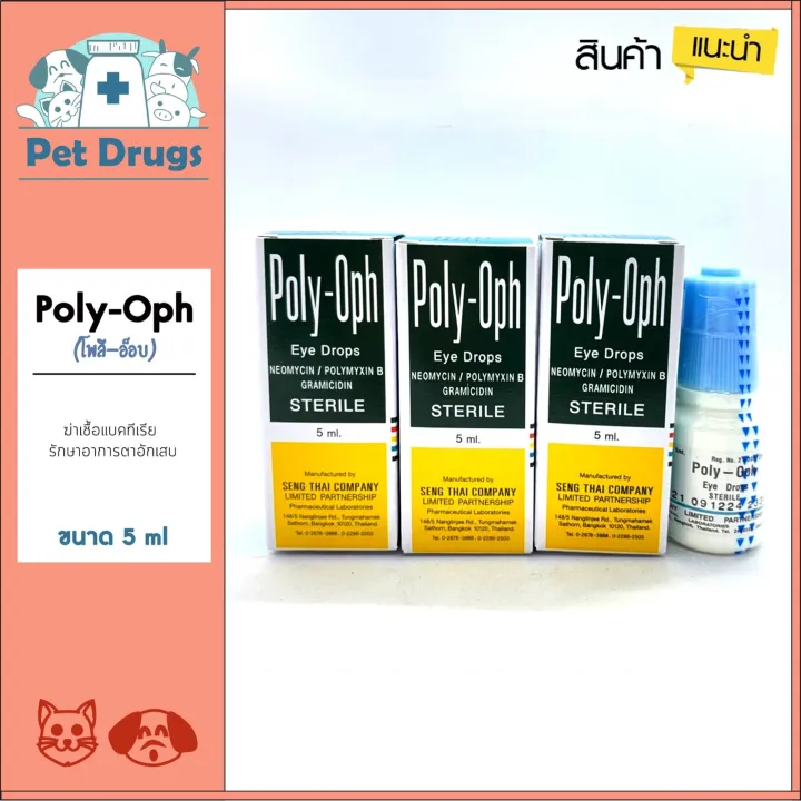 Poly-Oph ยาหยดตาใช้ได้ทั้งคน และ สัตว์ หมา แมว กระต่าย จำนวน 1 ขวด ขนาด ...