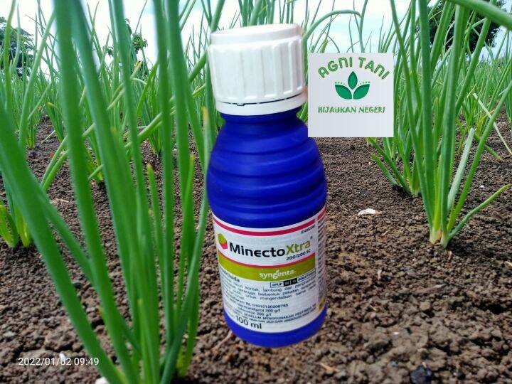 Insektisida Minecto xtra 200/200sc isi 100 ml | Lazada Indonesia