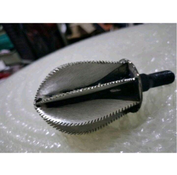 Coconut grater blade Stainless De Roskas | Lazada PH