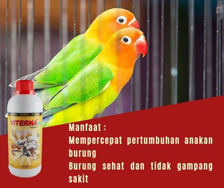 Viterna Plus Nasa Vitamin Ternak Hewan Peliharaan Lovebird Obat Vitamin ...