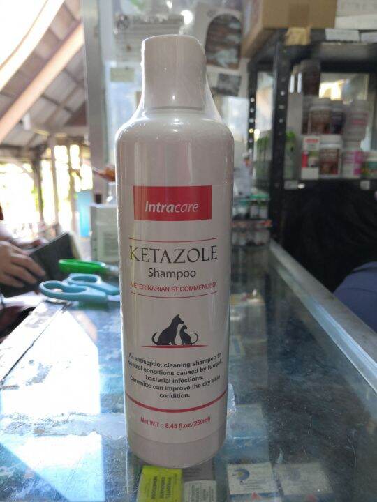 Ketazole Shampoo 250ml | Lazada PH