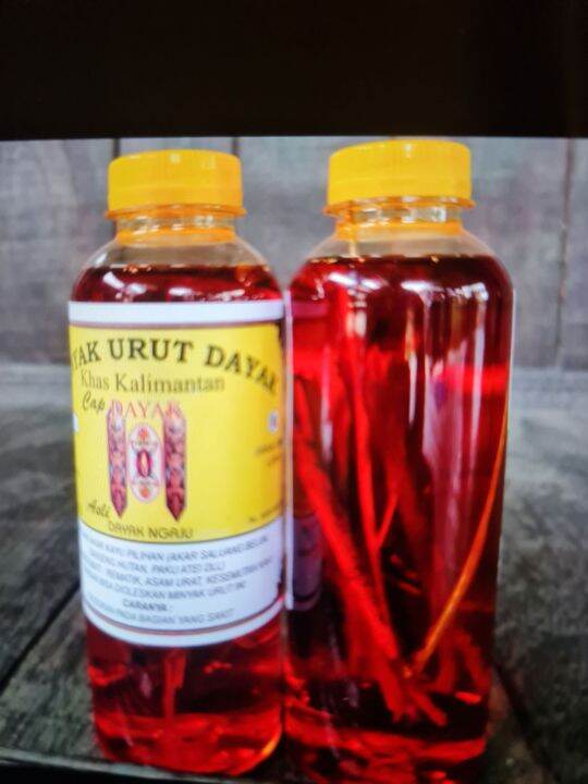 Minyak dayak budaya dayak | Lazada