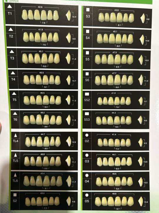 NEW ACE pontics acrylic resin teeth A3 | Lazada PH