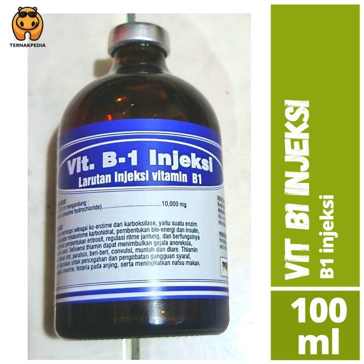 Vitamin B1 100ml - Injeksi B1 - Thiamin - Obat Lumpuh Ternak | Lazada ...