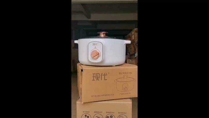 1000W Multi cooker Electric Boiling Pot Steamer Cooker Non-Stick In electric wok cooker electric ...